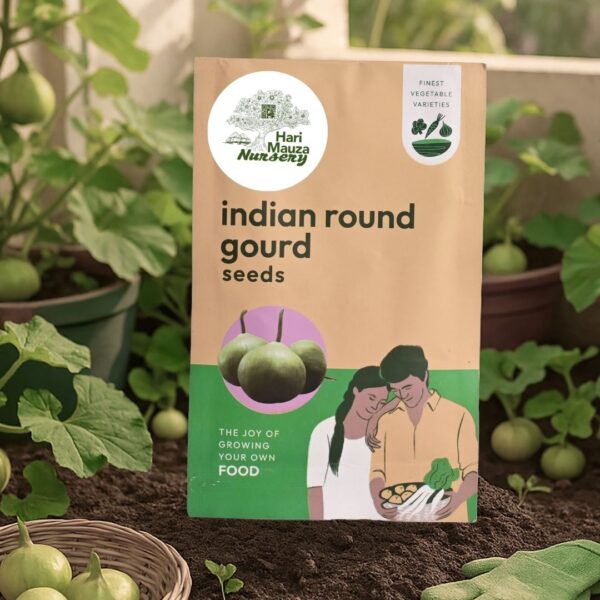 Indian Round Gourd Seeds (Tinda) – Hari Mauza Nursery
